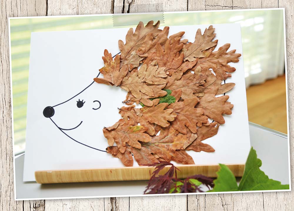 Herbstwettbewerb - miniSPICK