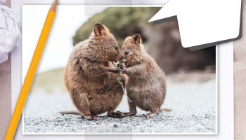 Startseite - miniSPICK