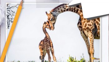 Startseite - miniSPICK