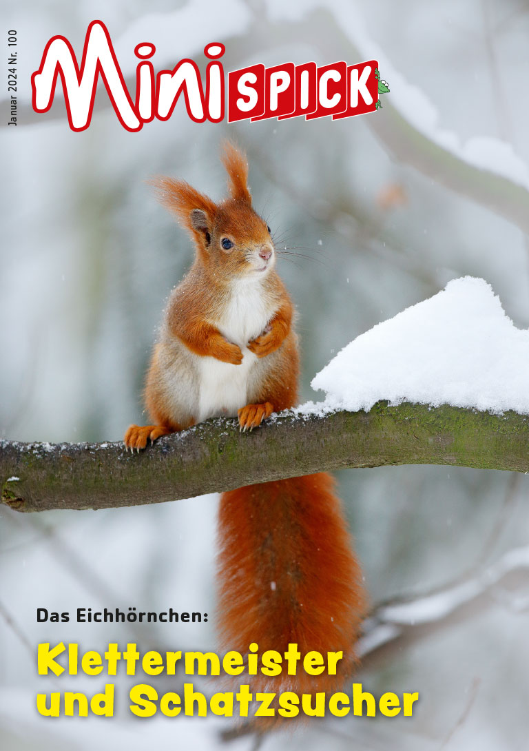 MiniSPICK - miniSPICK