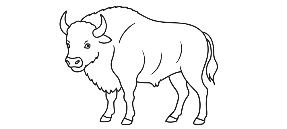 Deine Ausmalseite - miniSPICK